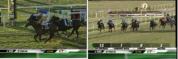 DOMENICA 10 FEBBRAIO 2013. Ippodromo San Rossore di Pisa: Stefano Landi ...