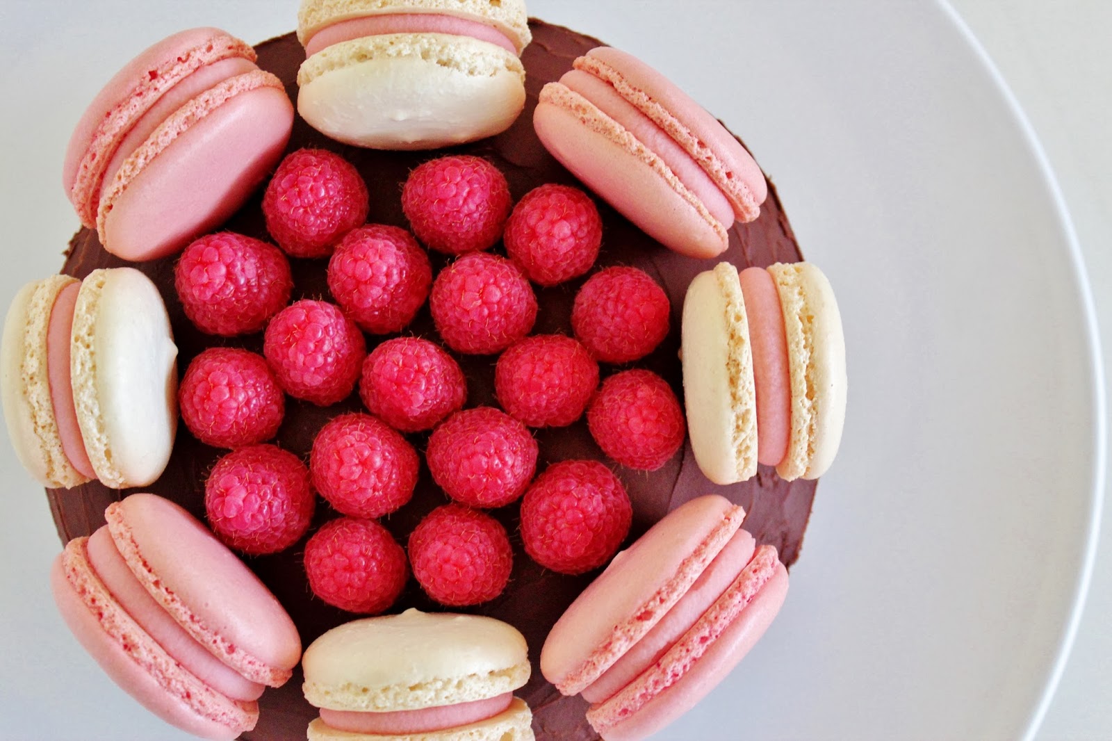 viviendo la vida dulce: chocolate and raspberry layered cake with macarons