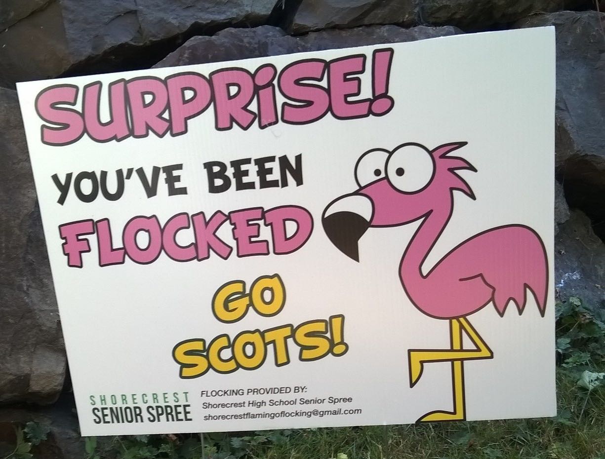 Shoreline Area News: Flock Around The Clock