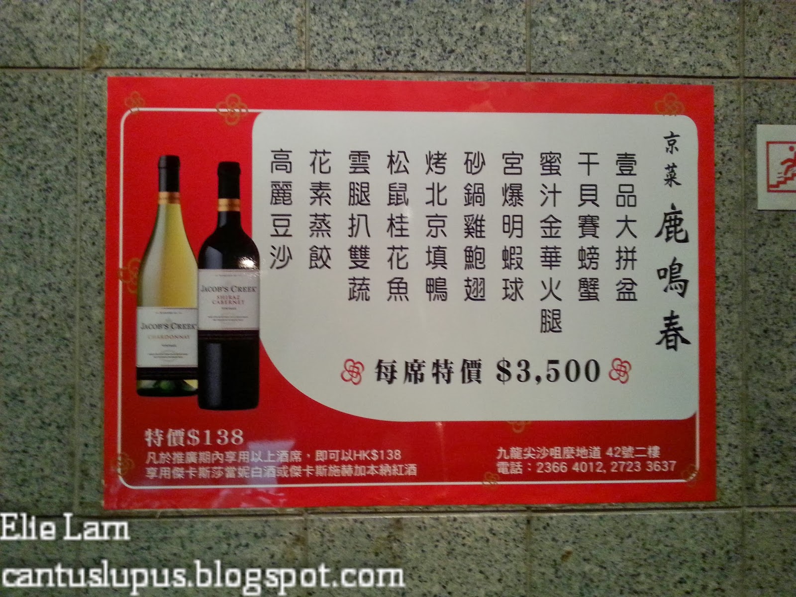 Hong Kong Eats: Spring Deer Restaurant & Cafe De Coral - CANTUSLUPUS.COM