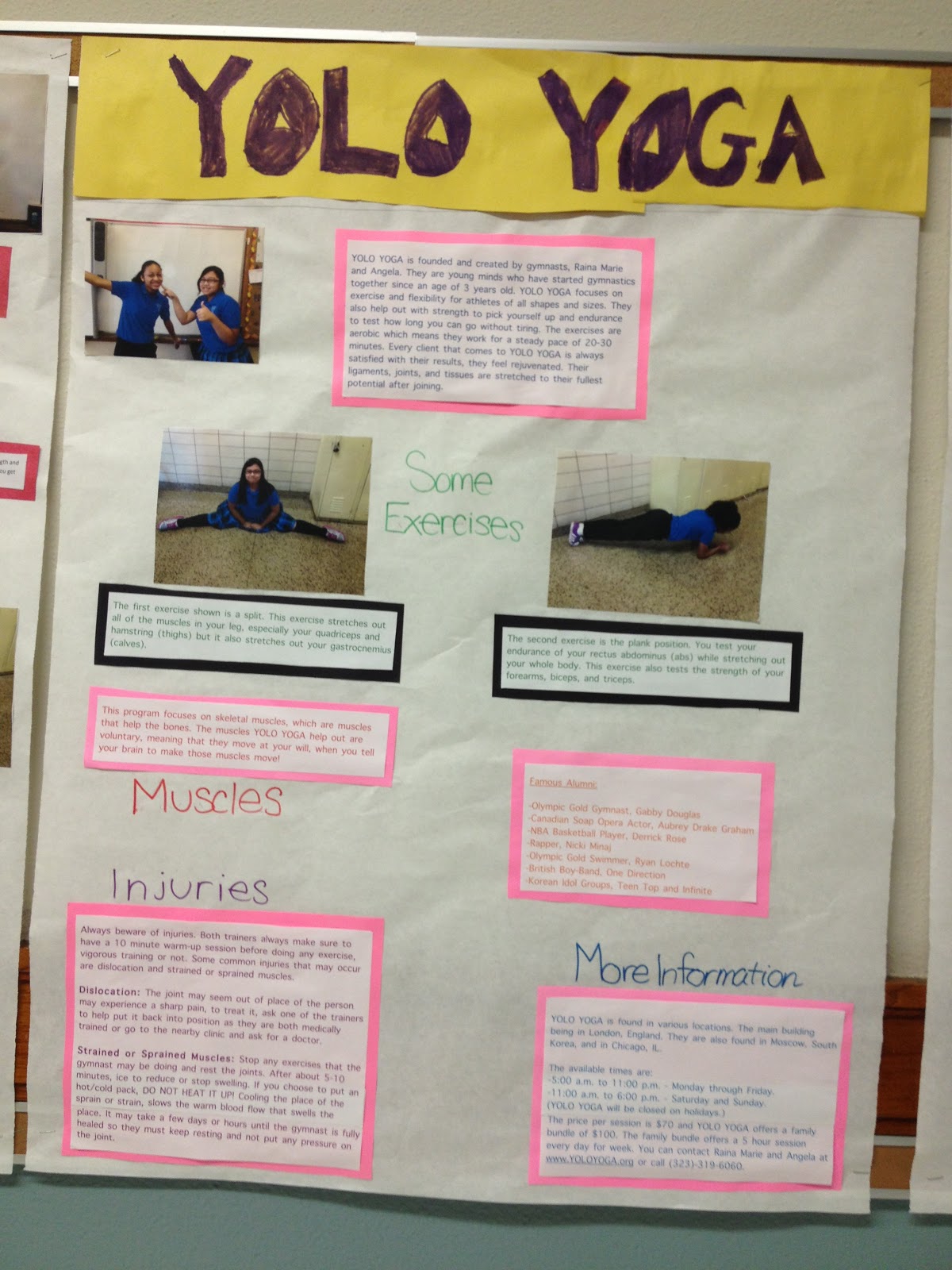 Bits and Pieces of Middle School: Muscular System Project