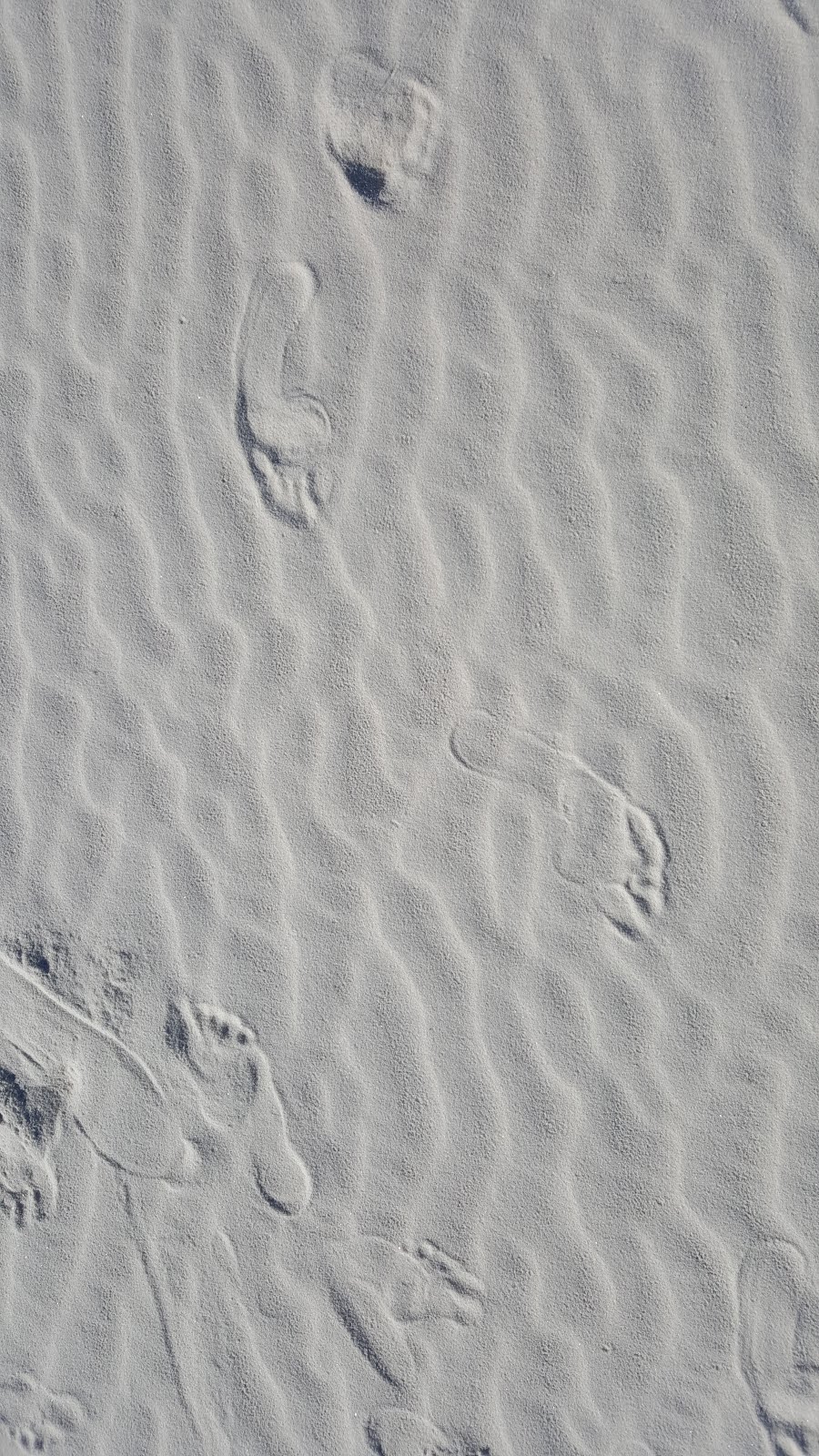 Disembodied Ninja: 4,018