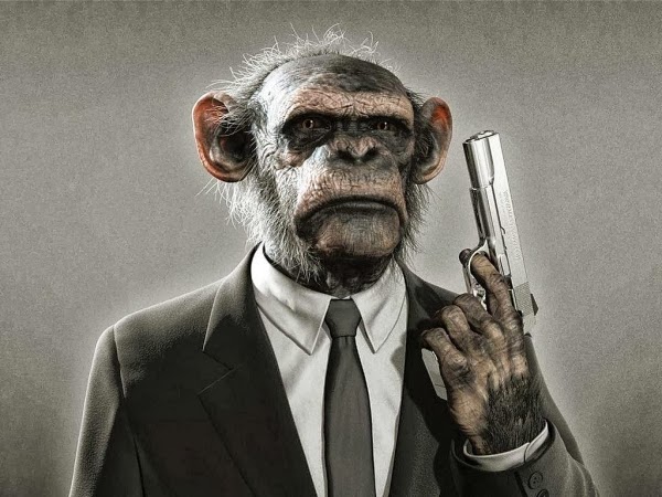 Cute Funny Animalz: Funny Monkey Man Nice Images 2013