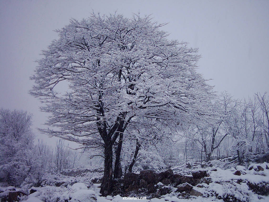 Kurram Valley FATA Area Pakistan Images Hub ~ Leep Fun