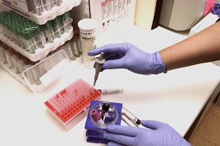 Children's Health: Blood Test: Hepatic (Liver) Function Panel | Child ...