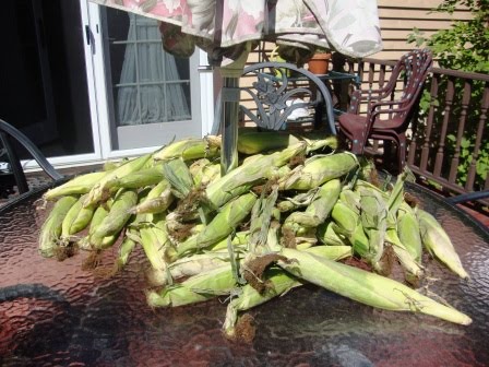 Compost Happens: August 2011
