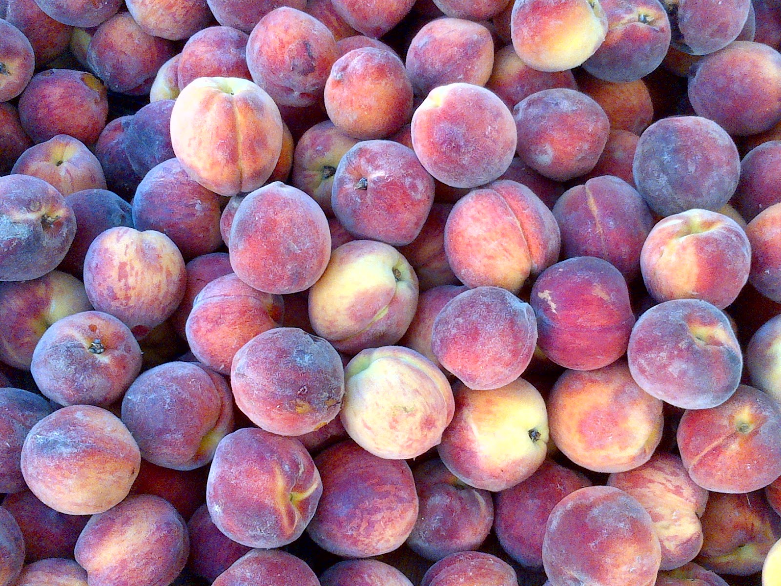 The Produce Savant: Fruit Seasons In Photos