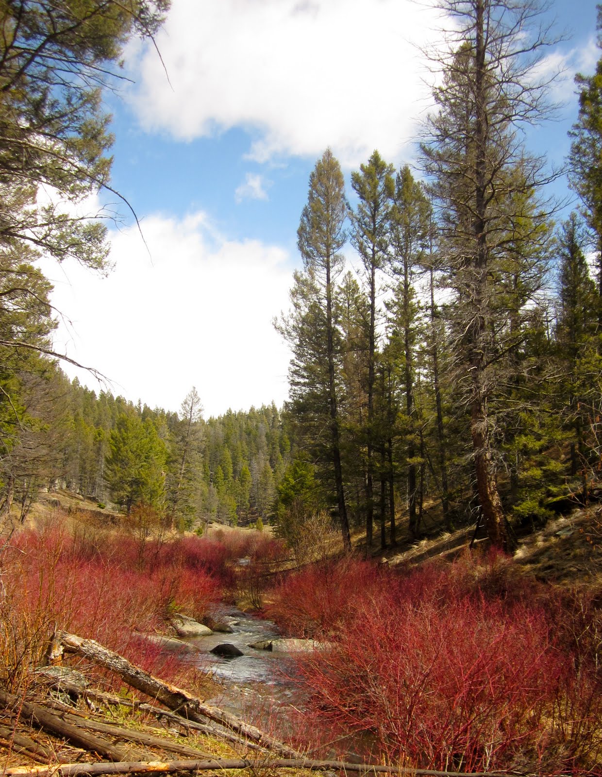 EcoRover: Skywatch Friday: Hiking & Trout Fishing