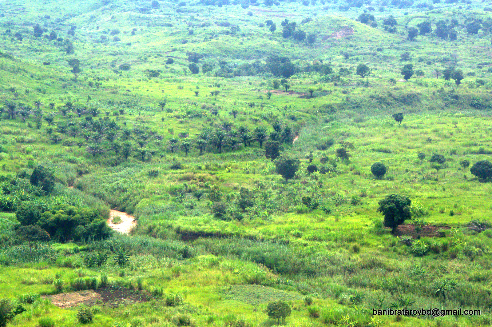 resonance of africa: Bunia: A vibrant city of Eastern Congo (an aerial ...