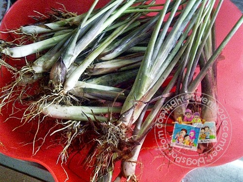 twenty2december™ : Hasil bercucuk tanam ~ Serai