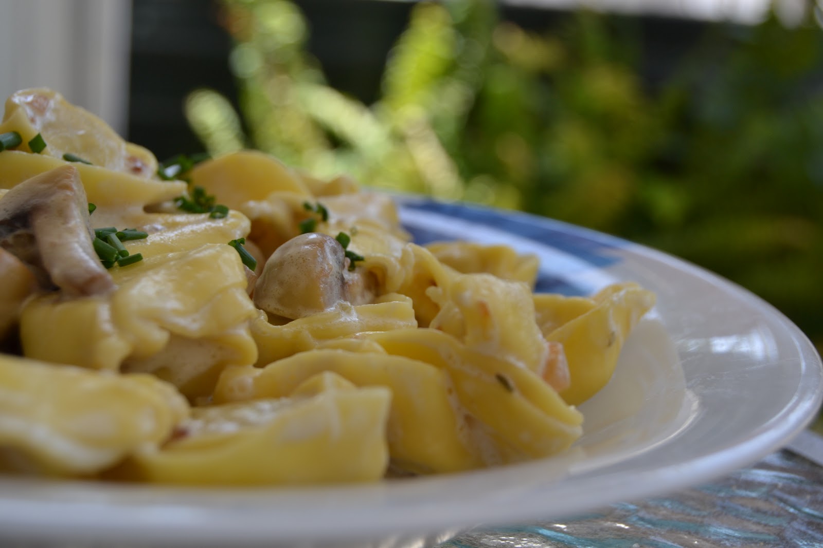 O que há pró jantar?: Massa fresca recheada, com cogumelos frescos e ...