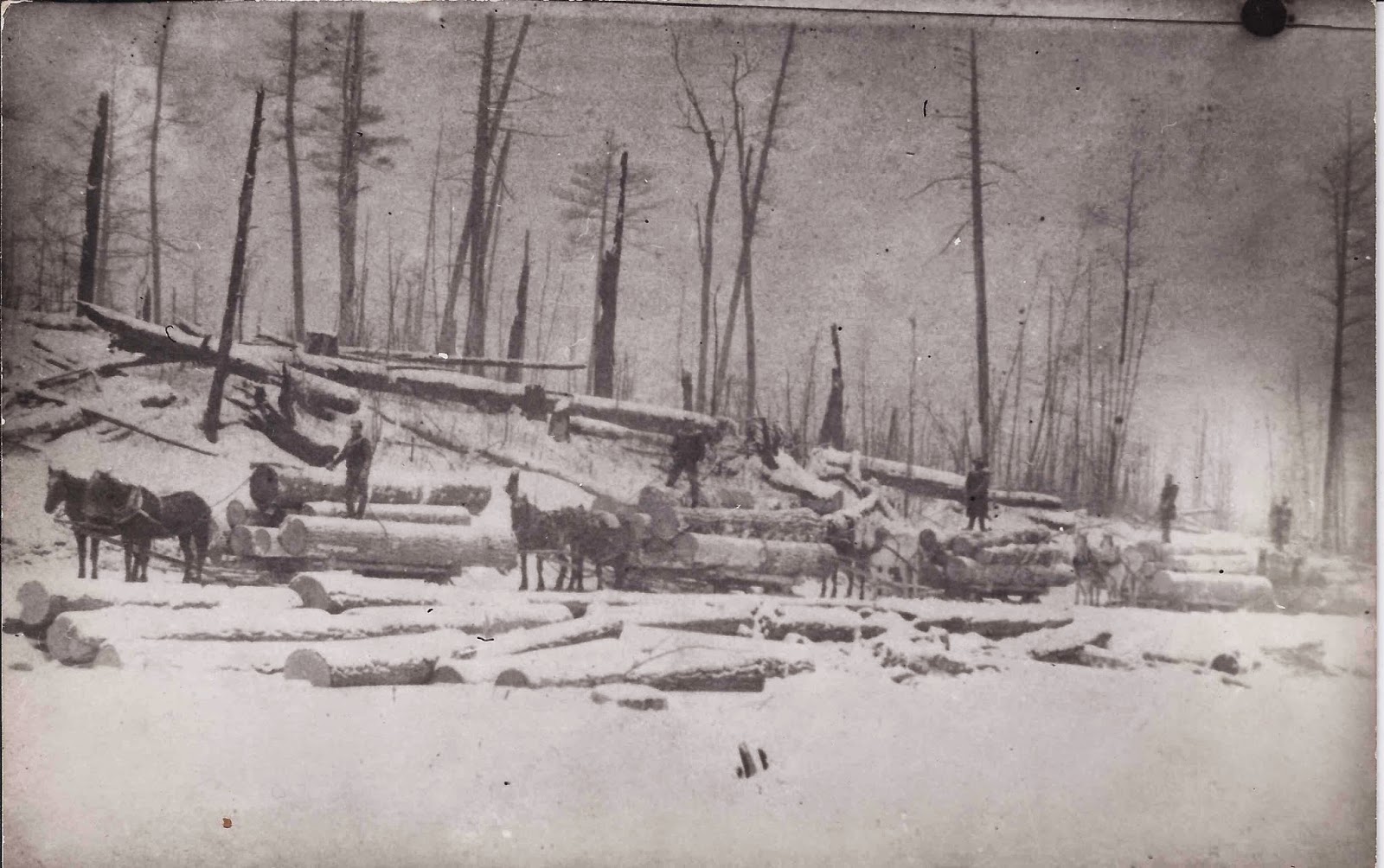 Isabella Conservation District Environmental Education Program ...