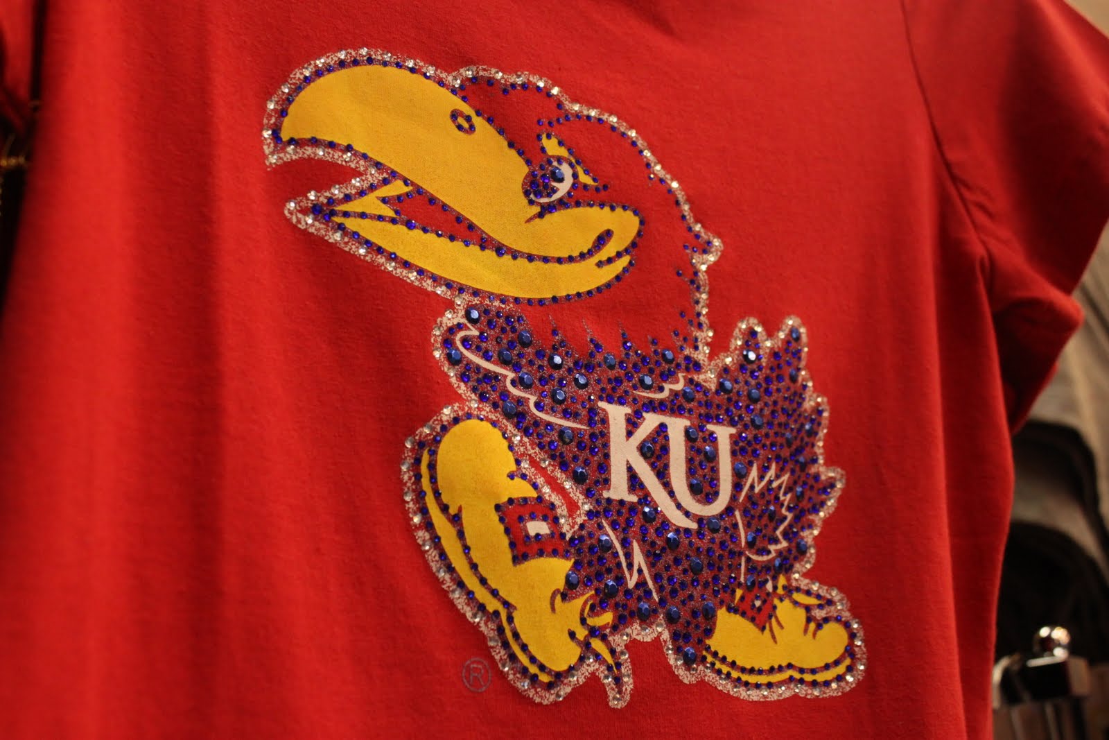 A year in the Sunflower State: The University of Kansas colors