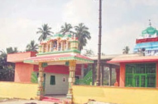 REPALLE: Repalle-repalle