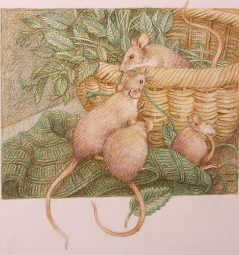 Animalarium: Sunday Safari - Nice Mice