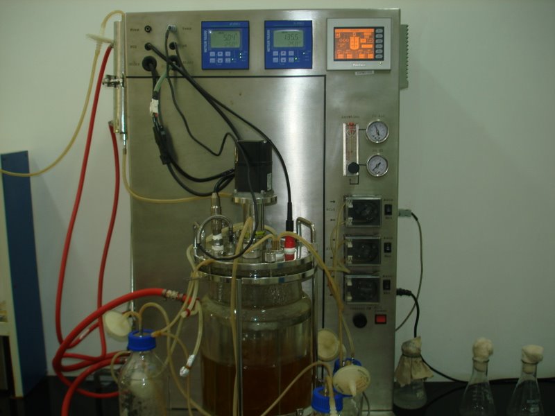 Bio-Resource: Fermentation Media and its Ideal Characteristics