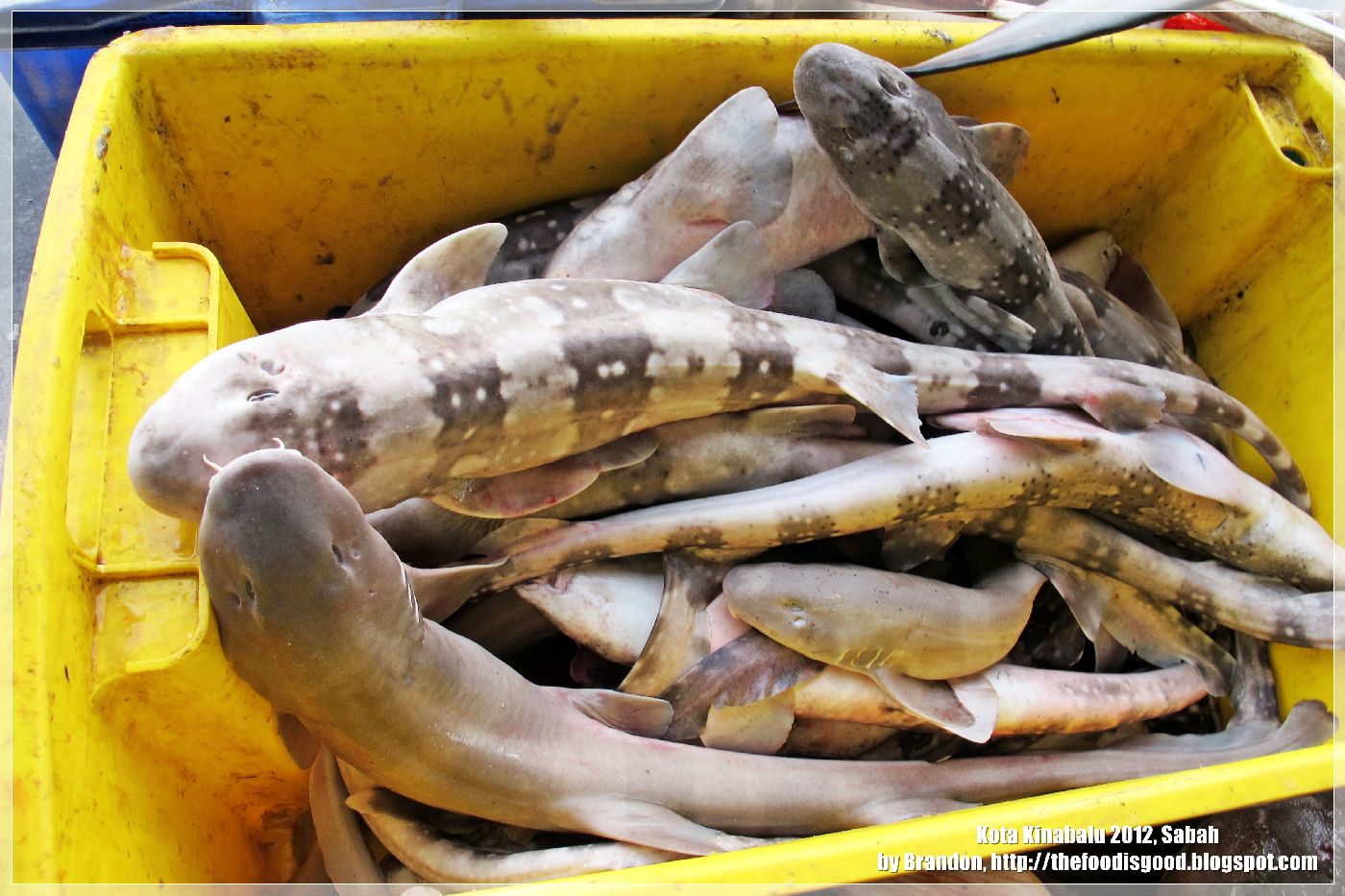 My LIFE, Food & Travel Experience ~ Malaysia, Taiwan & the World: Trip ...