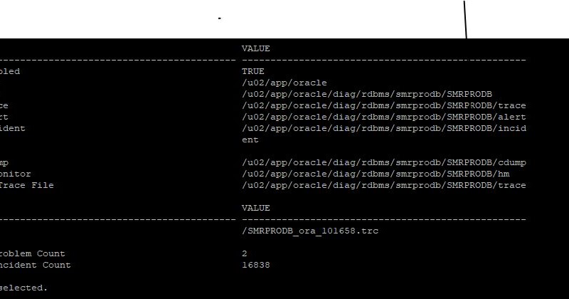 Oracle Database Commands and Practical Examples: Oracle 12c ADCRI commands and examples