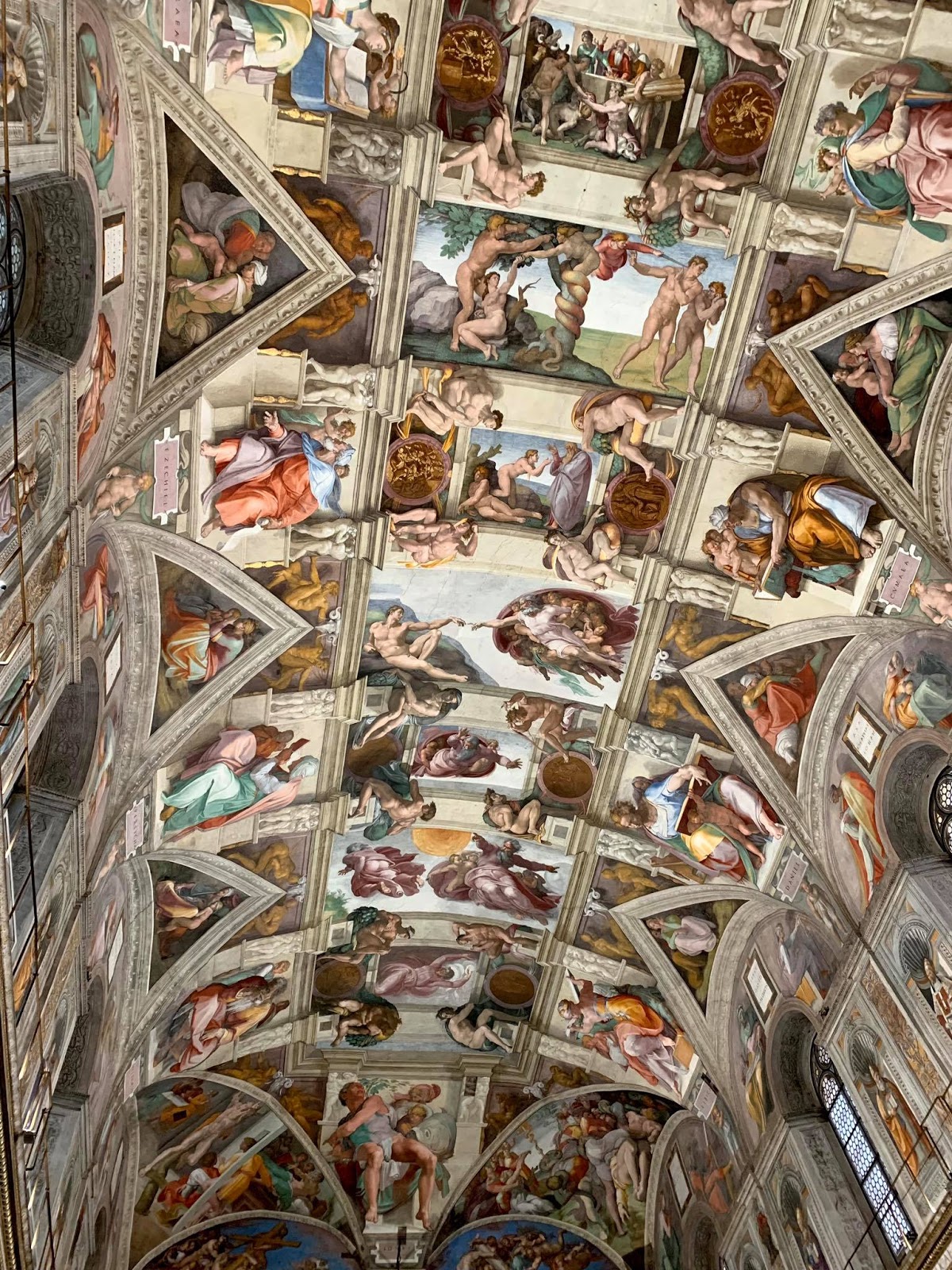 from Gardners 2 Bergers: Dreamy Wood Ceiling & The Sistine Chapel ...