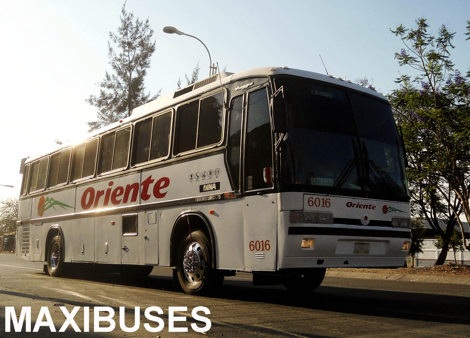 MAXIBUSES: OMNIBUS DE ORIENTE
