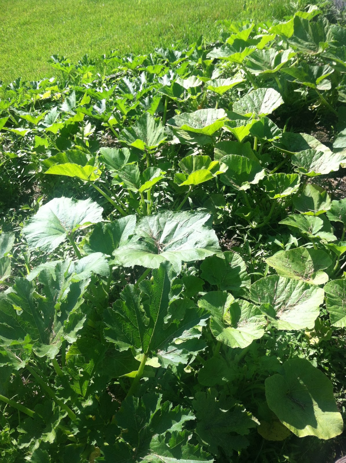 Beth Sexton Realtor in Southwestern Michigan