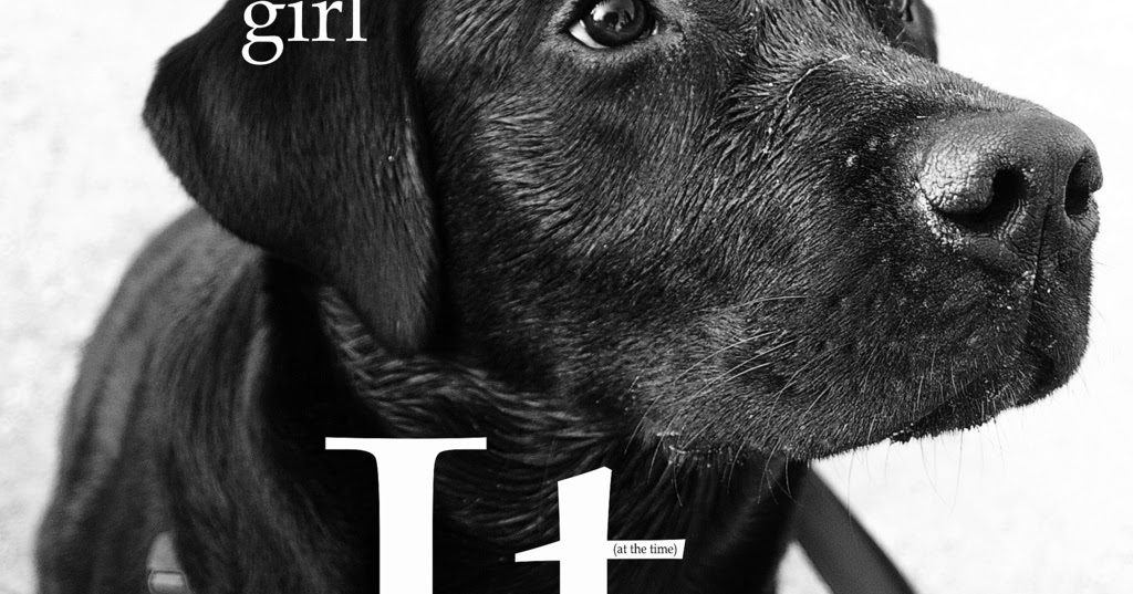 The Modern Bark Dog Training Tips 50 Unexpected Name Ideas For Your the-modern-bark-dog-training-tips-50-unexpected-name-ideas-for-your