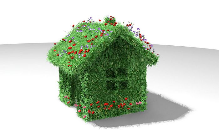 Free download Green house wallpaper |hd wallpapers|widescreen desktop ...