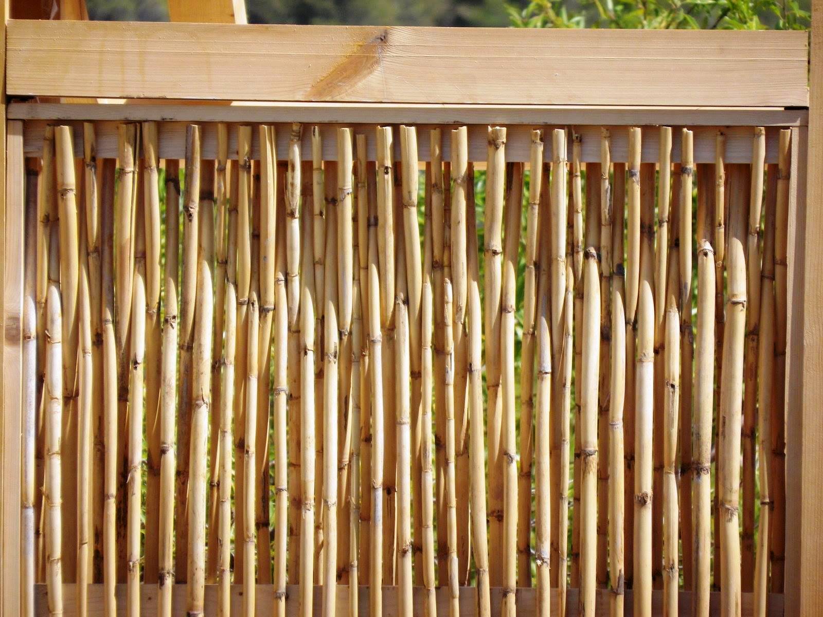 APUNTES - REVISTA DIGITAL DE ARQUITECTURA: Construcciones seguras con ...