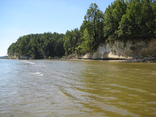 Fossils and Other Living Things: In Search of John Smith and the ...