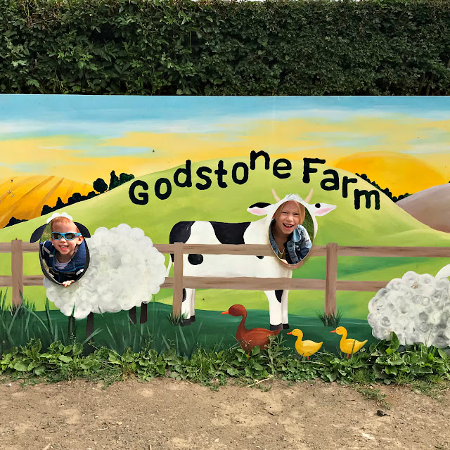 Godstone Farm | Our Cherry Tree