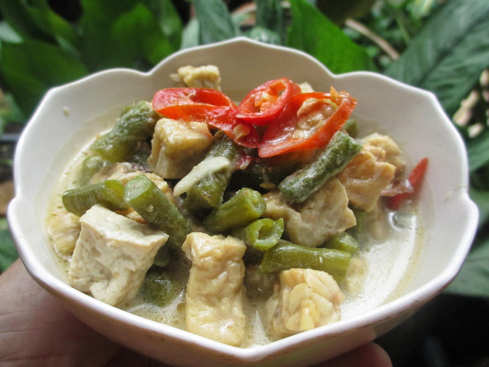 ~ Rumah Maya Tatit ~: Lodeh Tahu Tempe