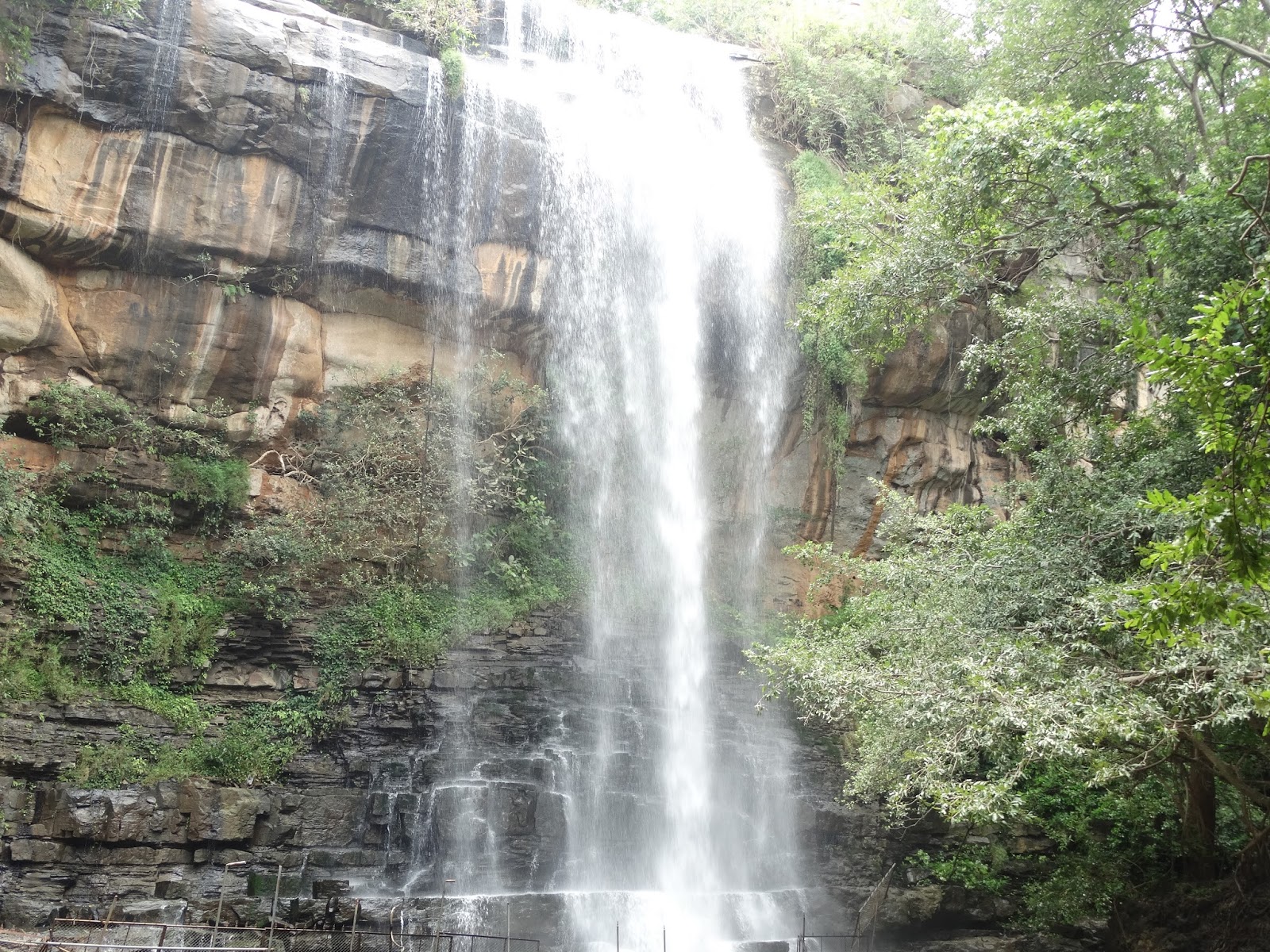 Anecdotes: A one-day trip: Hyderabad to Srisailam (Farahabad) Tiger ...