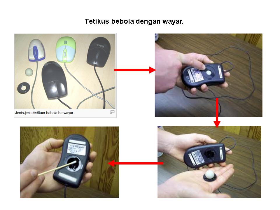 LITERASI KOMPUTER: MOUSE (TETIKUS)