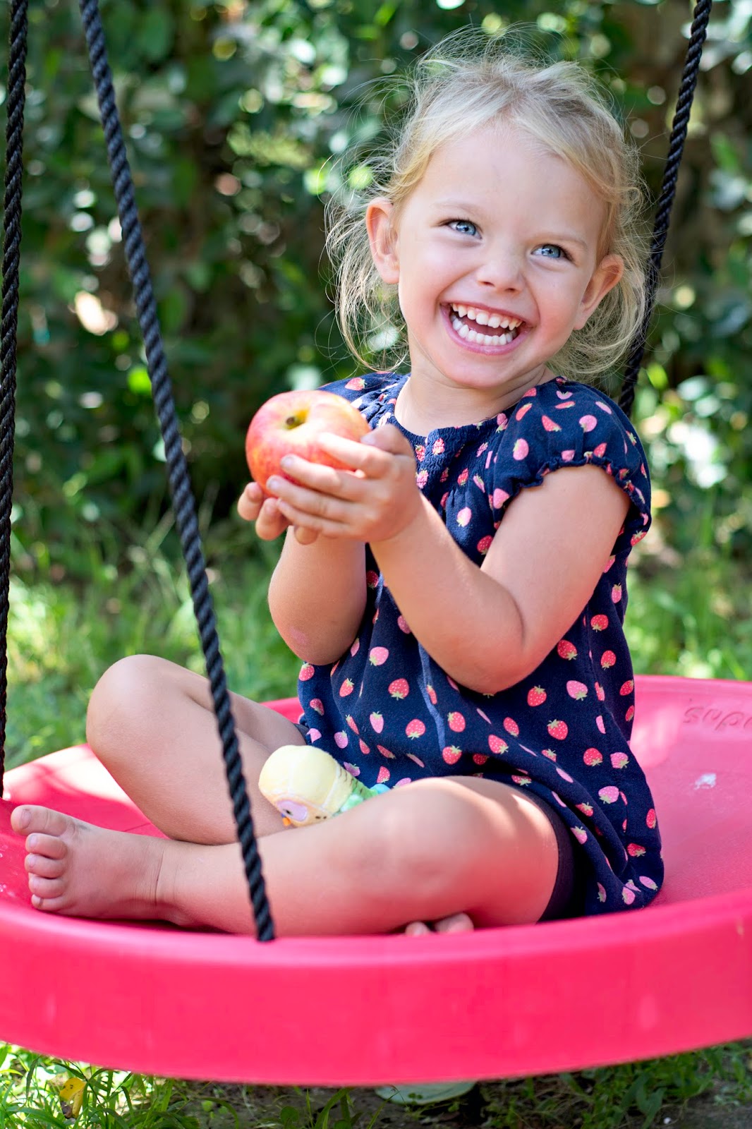 365 Days Of Life Behind The Lens Day 217 August 4 2016