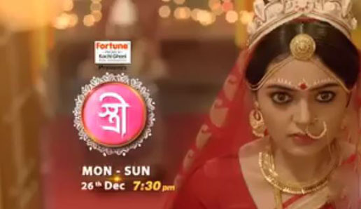 Stree Zee Bangla Serial Cast