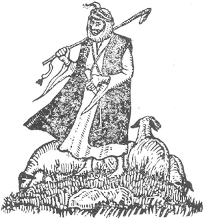 Awassi Sheep - Awassi Fat Tail Sheep Breeder: Awassi Sheep History