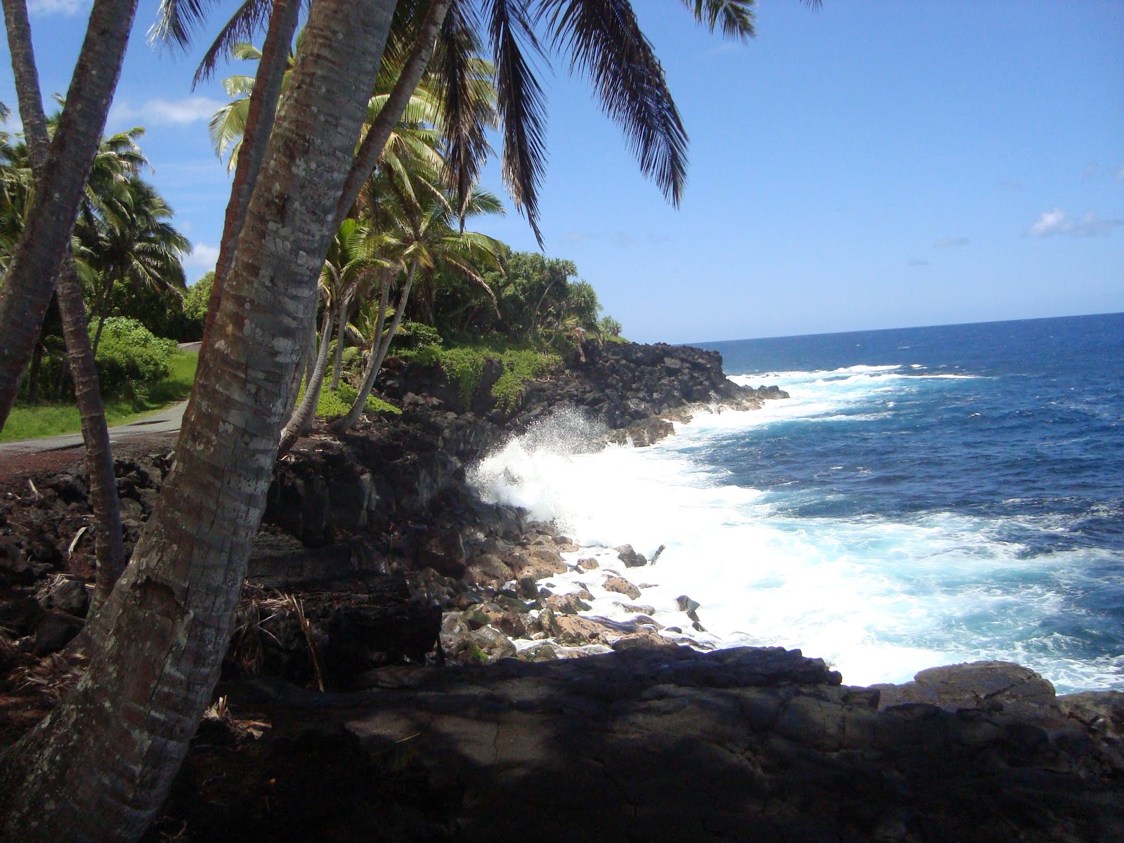 Life In Flip-Flops: November 2012