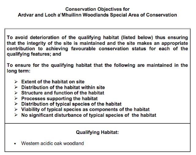 8th Colour Landscape Photography: The Ardvar Woodland SAC