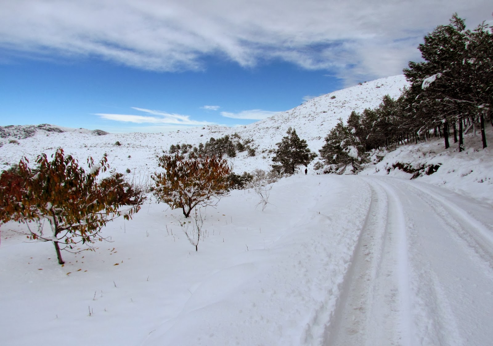 REFLEXIONES: ¡Nieve!