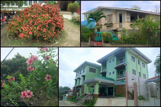 The Monina Midtown Inn and Restaurant: Tubigon