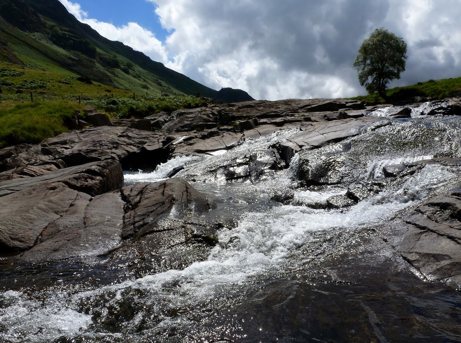 Julia Garner : Langstrath