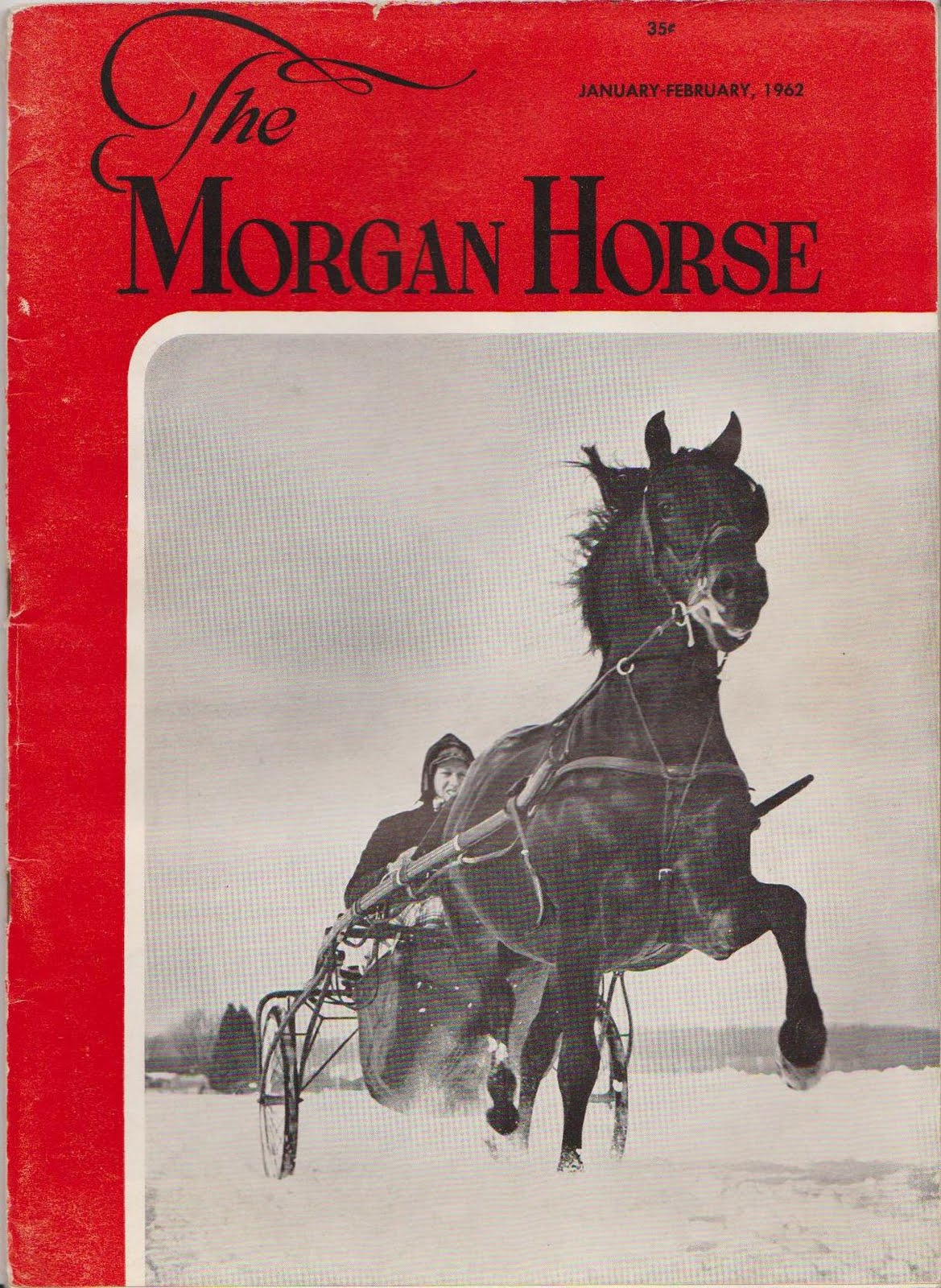 Old Morgans: Sealect of Windcrest