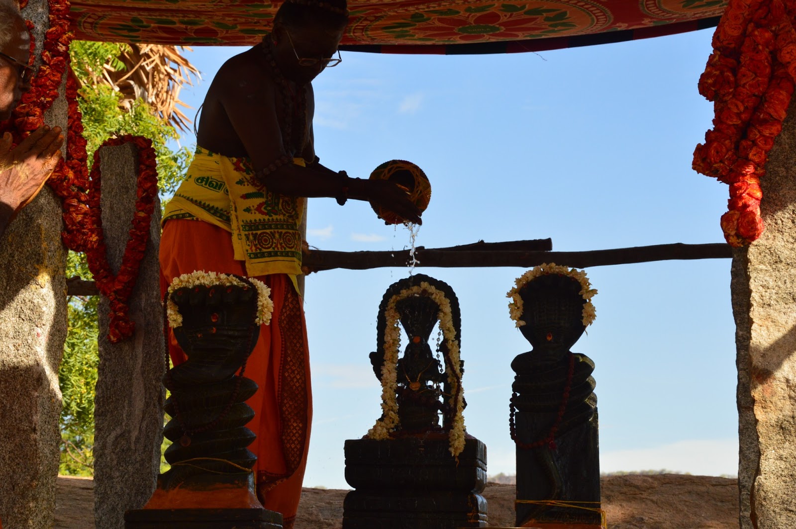 GREENLAND ASHRAM: Patanjali morning 27 June Puja