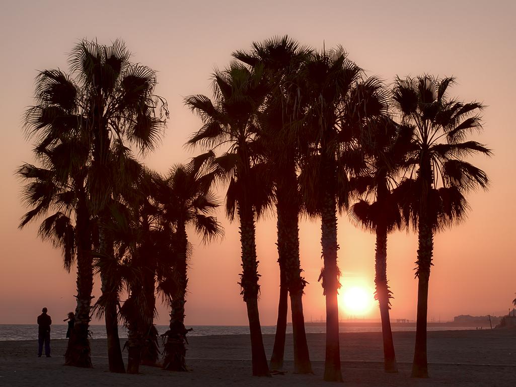 BARCELONA PHOTO: "SOL DORADO" COMA RUGA .EL VENDRELL .CATALUÑA.