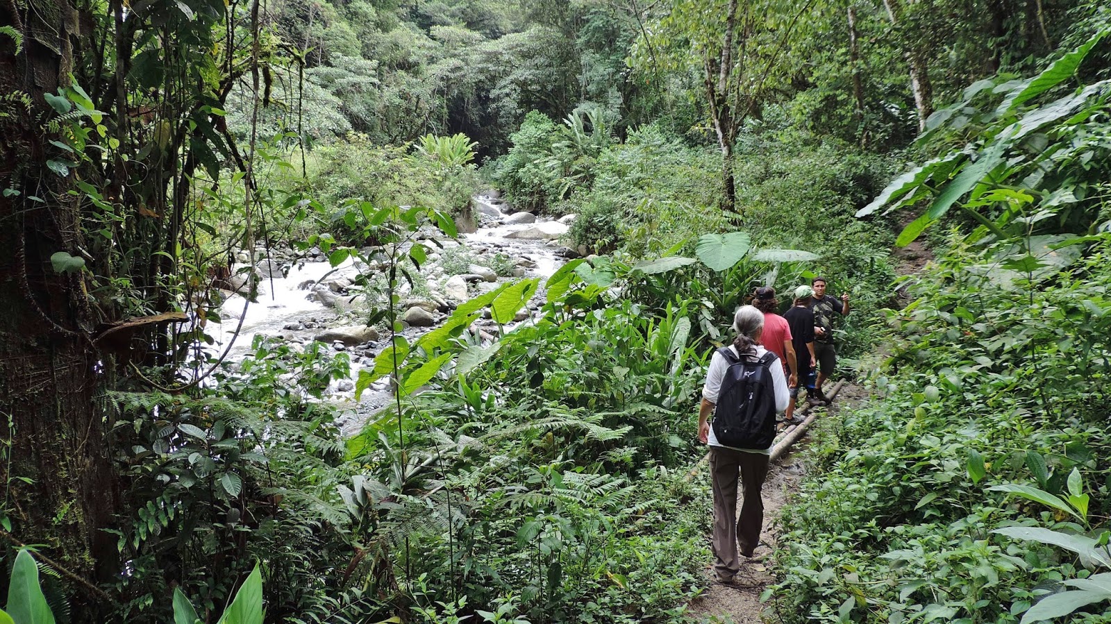 Travel with Kevin and Ruth: Six miles in the Colombian jungle