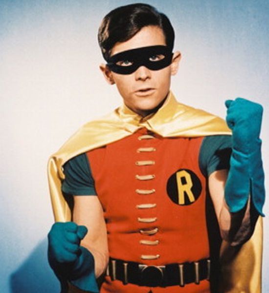 BOOKSTEVE'S LIBRARY: Burt Ward and Me