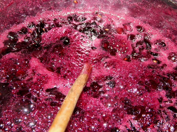 Concord Grape Jam / Syrup