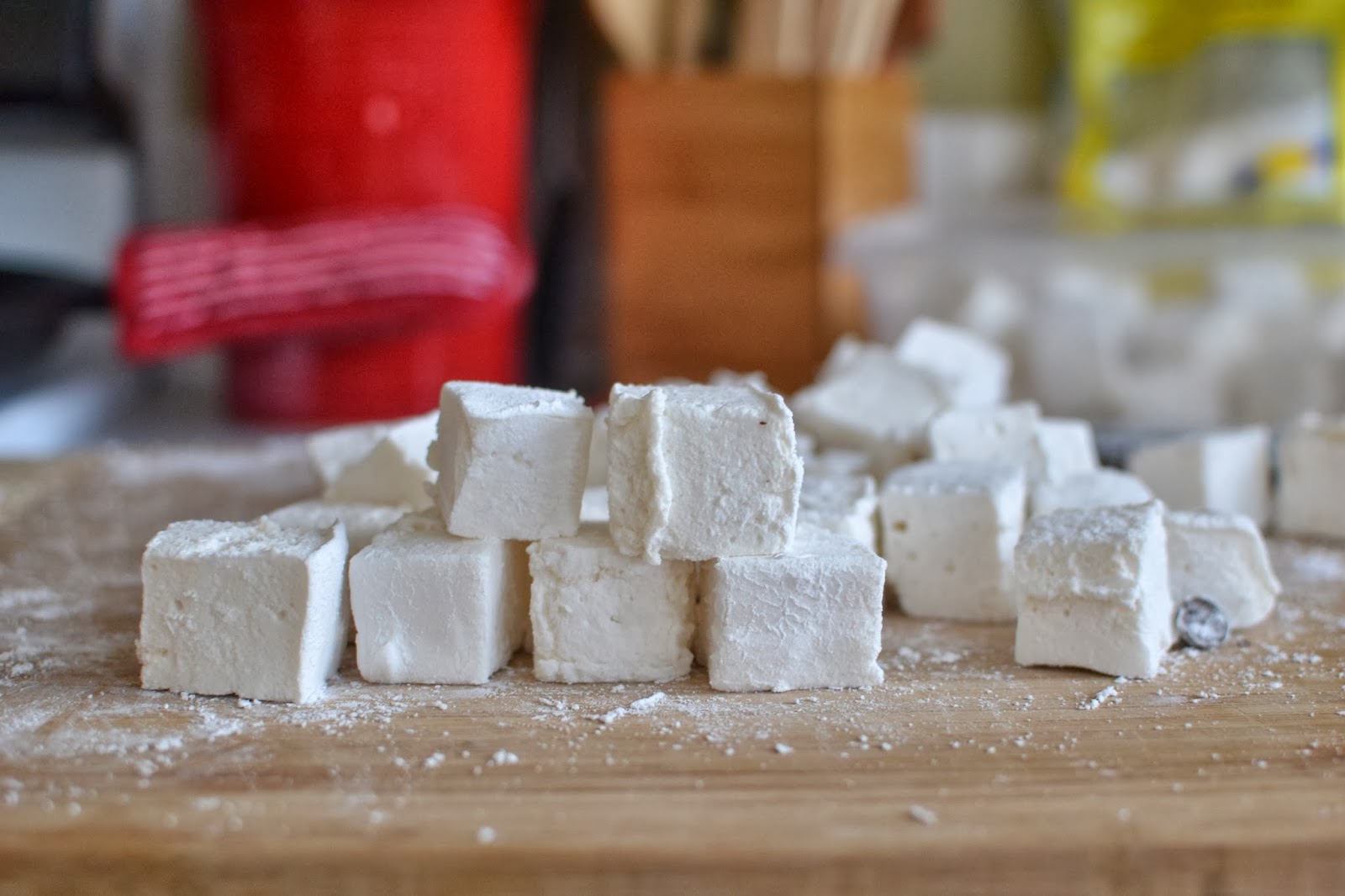 From Horses to Photography: Ode to the Mallow!