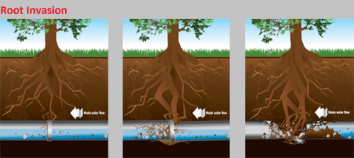 Harris Water Main & Sewer Contractors Blog