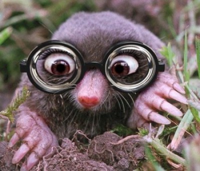 Ecrimages: "Le français est une langue animale"